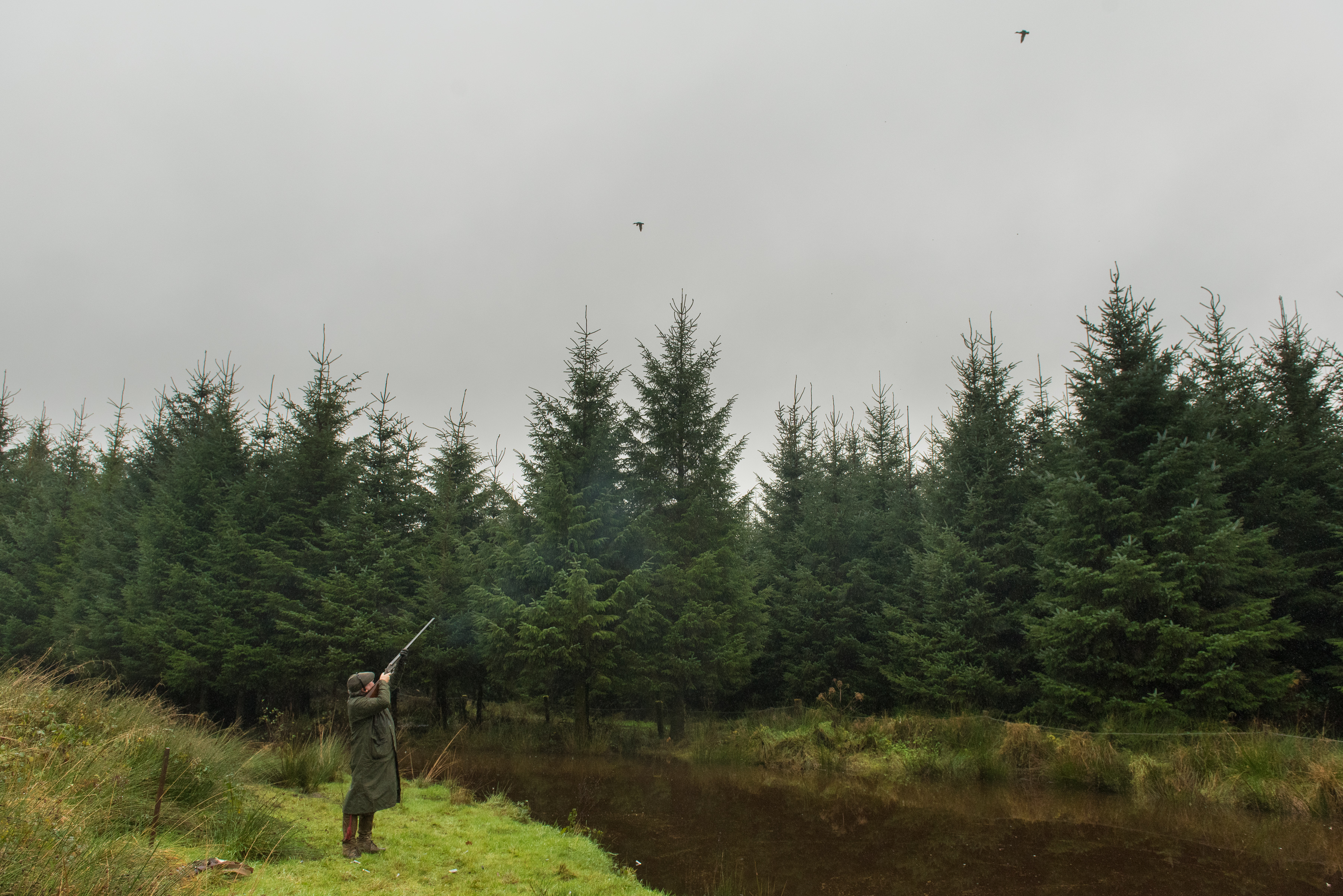 2018/2019 Season | Mulberry Shoot | Game Shooting | Co Clare | West of ...